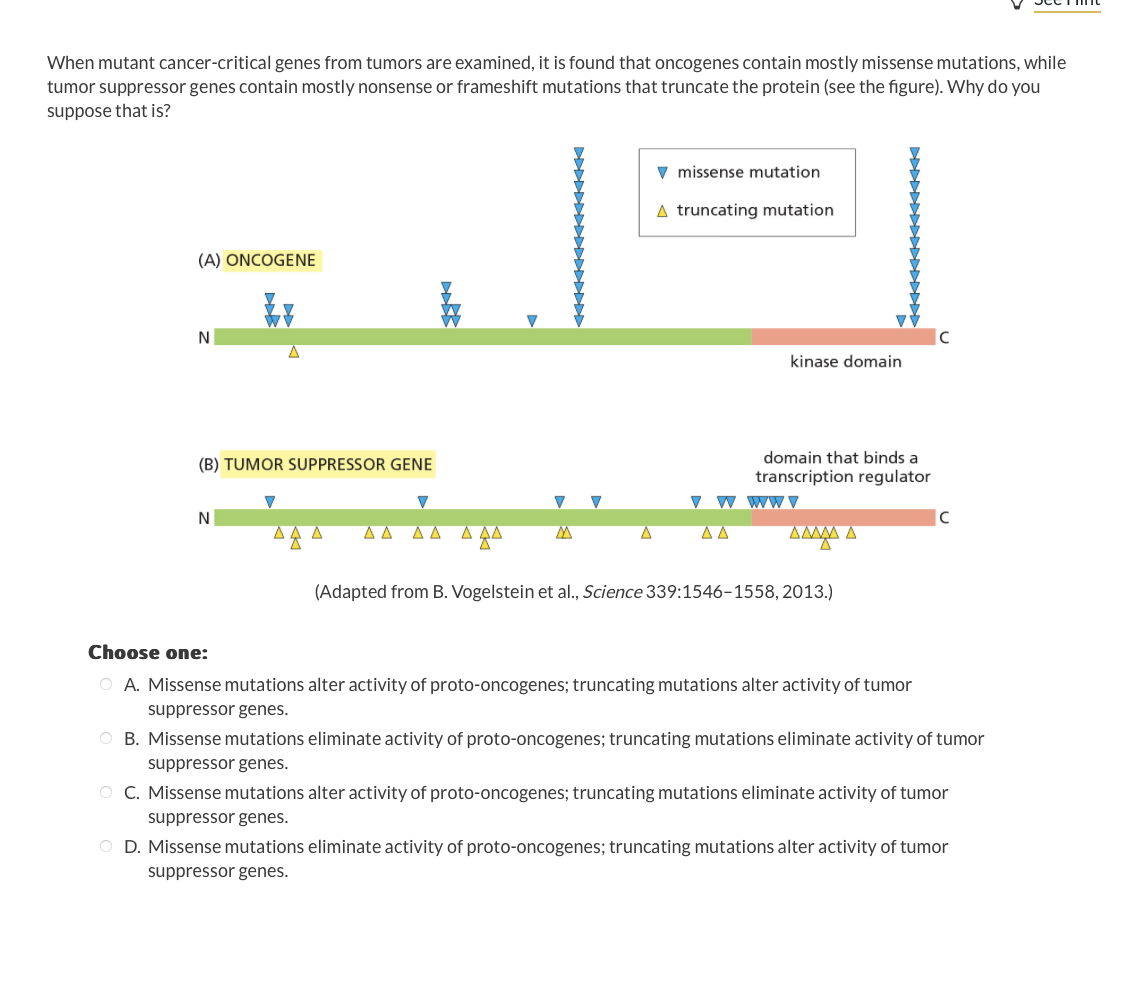 Solved When mutant cancer-critical genes from tumors are | Chegg.com