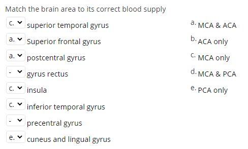 Solved Q1 Name the vascular lesion indicated by the letters | Chegg.com