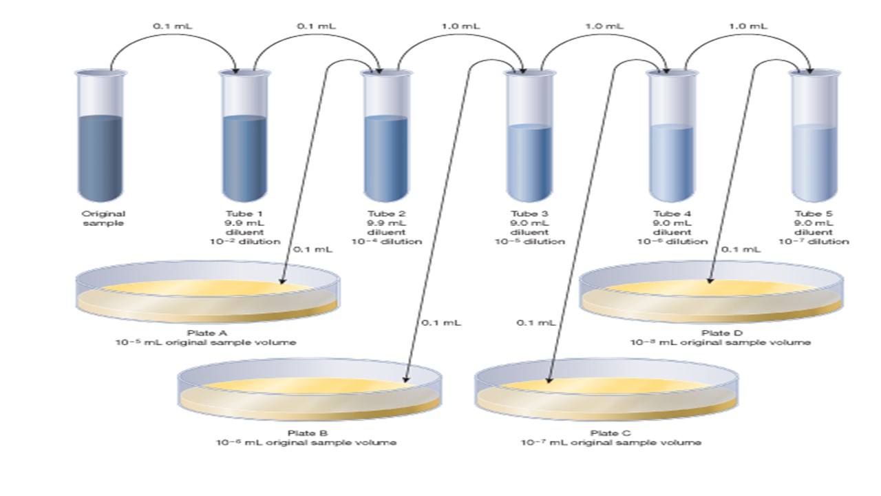 Solved Complete the table based of the results of the | Chegg.com