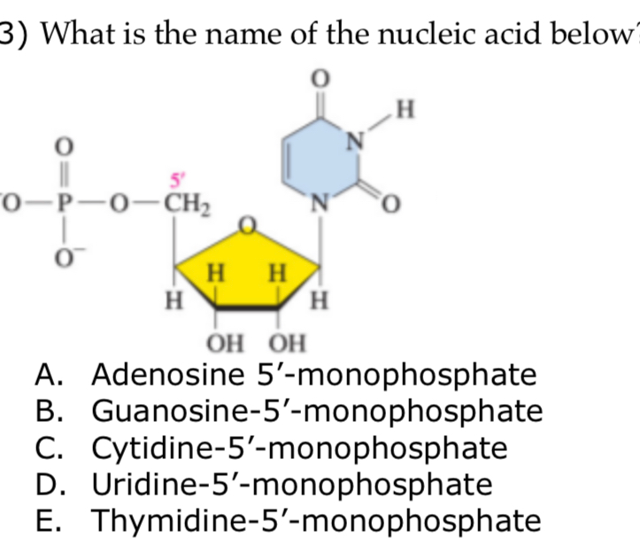 Solved 3) What is the name of the nucleic acid below 0 0 5 | Chegg.com