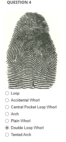Solved QUESTION 1 Arch Tented Arch Plain Whorl Central | Chegg.com