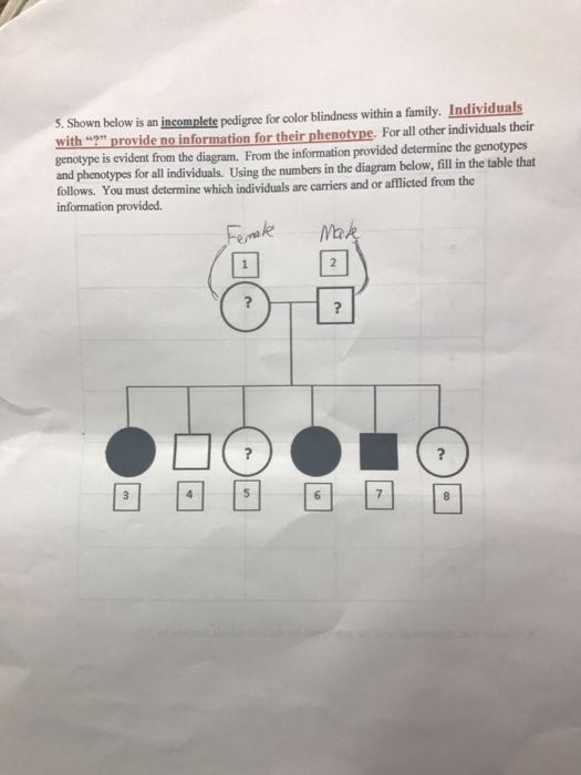 Solved Shown below is an incomplete pedigree for color | Chegg.com