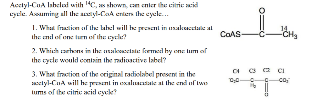 Solved Acetyl-CoA labeled with C, as shown, can enter the | Chegg.com
