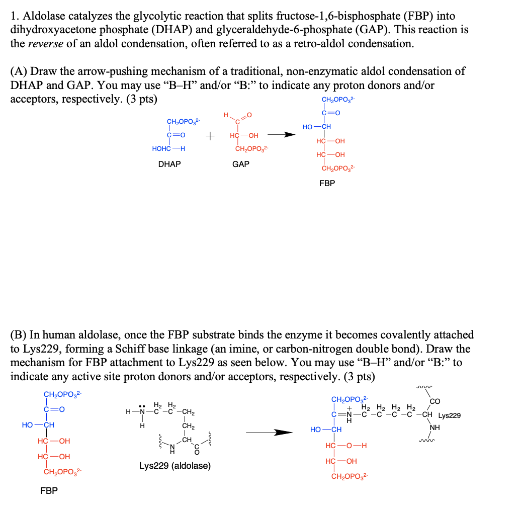 Solved Answer the following biochem question. If you can, | Chegg.com