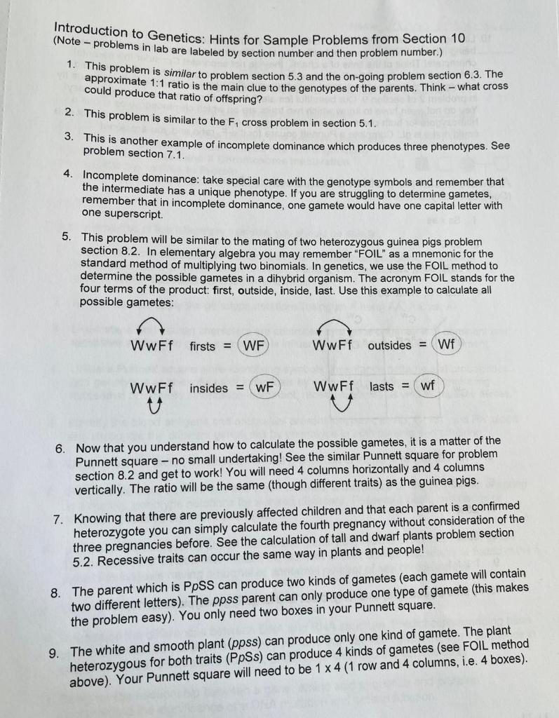 Solved Introduction to Genetics: Hints for Sample Problems | Chegg.com