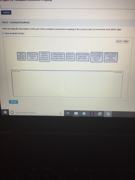 Submt Part G- Conclusion/Synthesis Click and drag the | Chegg.com Submt Part G- Conclusion/Synthesis Click and drag the | Chegg.com