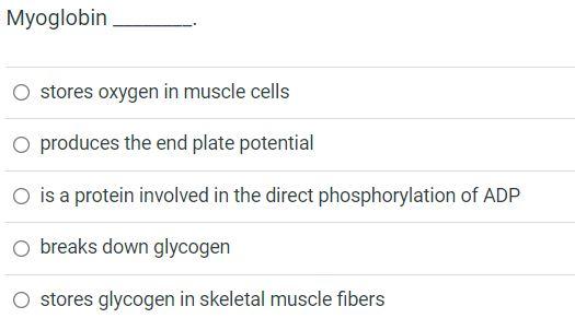 Solved Myoglobin O stores oxygen in muscle cells O produces | Chegg.com