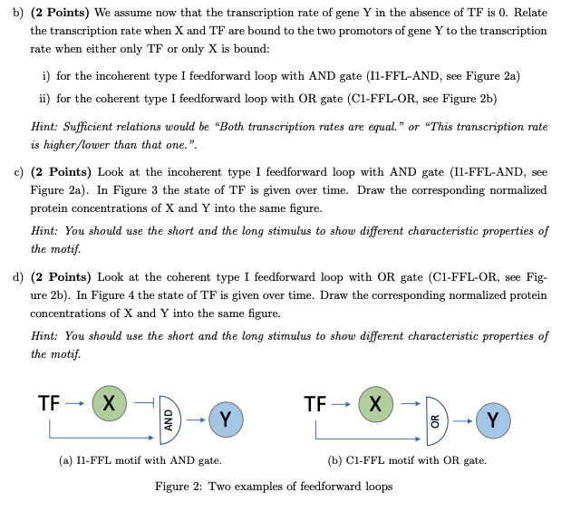 Solved b) (2 Points) We assume now that the transcription | Chegg.com