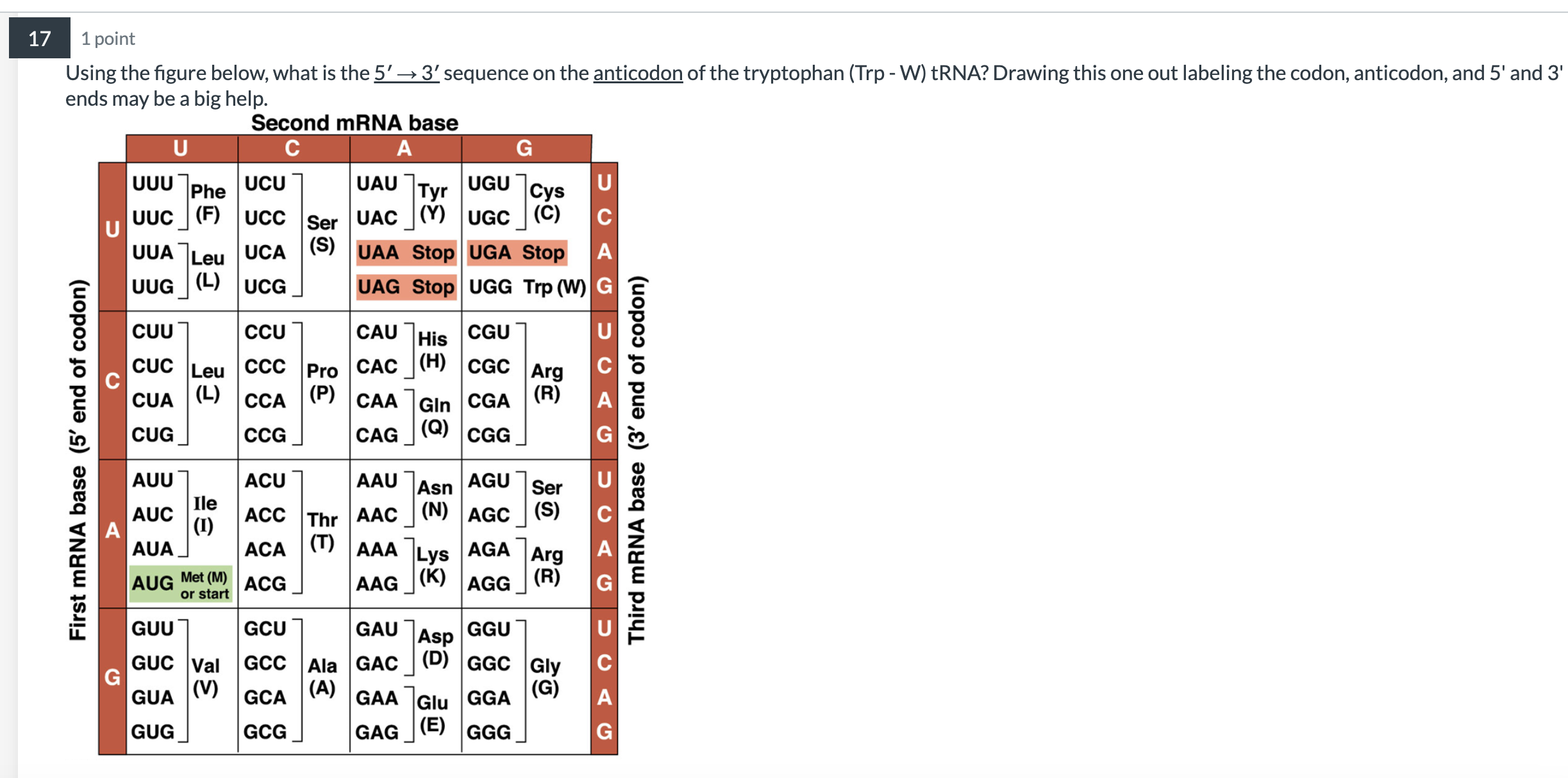 Solved Using the figure below, what is the 5′→3′ sequence on | Chegg.com