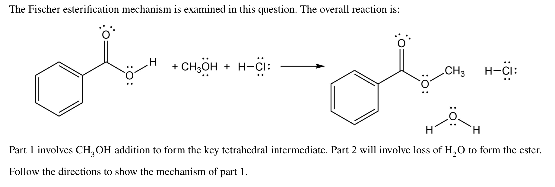 Solved The Fischer esterification mechanism is examined in | Chegg.com