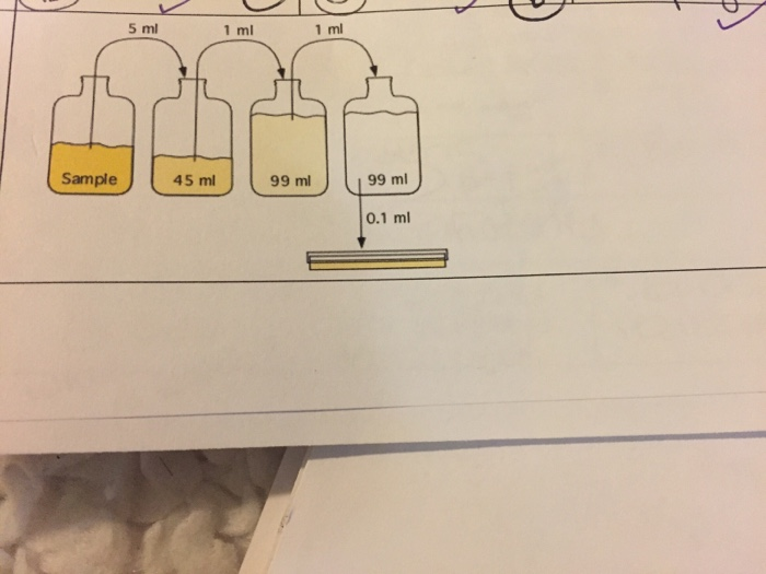 Solved 5 ml 1 ml 1 ml 45mリ 99 ml 99 Sample 0.1 ml 1ml 1ml | Chegg.com