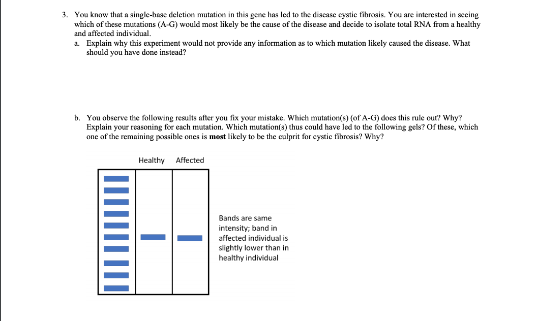 3. You know that a single-base deletion mutation in | Chegg.com