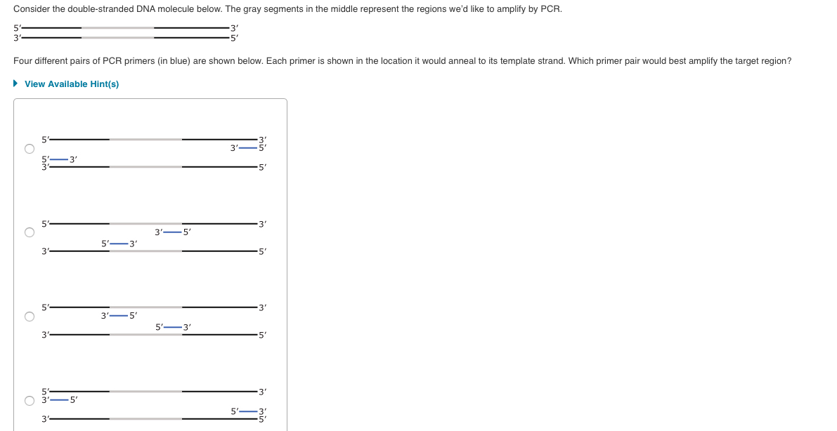 Solved: Consider The Double-stranded DNA Molecule Below. T... | Chegg.com