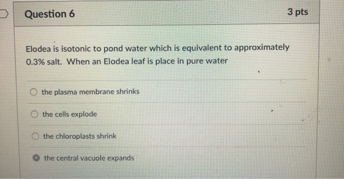 Solved Question 6 3 pts Elodea is isotonic to pond water | Chegg.com Solved Question 6 3 pts Elodea is isotonic to pond water | Chegg.com