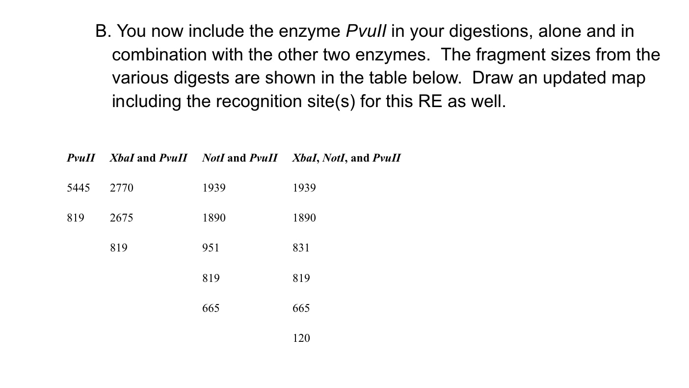 Solved . You now include the enzymePvuII in your digestions, | Chegg.com