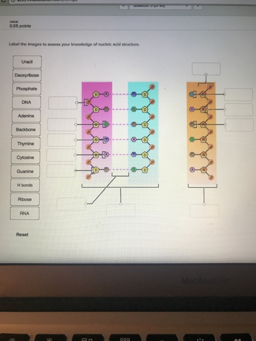 Solved 0.55 points Label the images to assess your knowledge | Chegg.com
