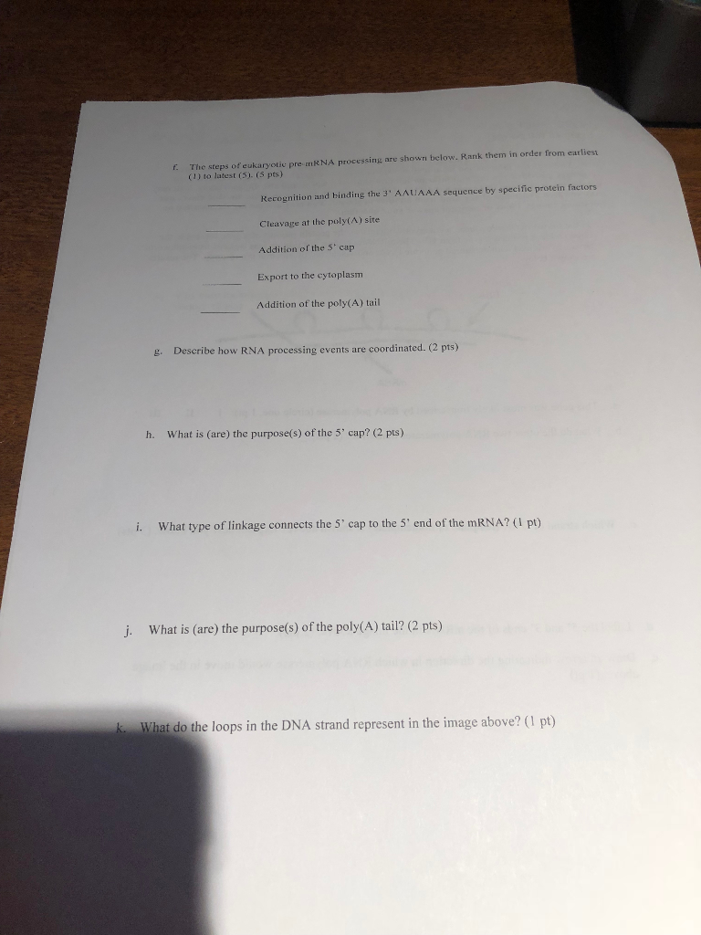 Solved The steps of eukaryotic pre-mRNA processing are shown | Chegg.com