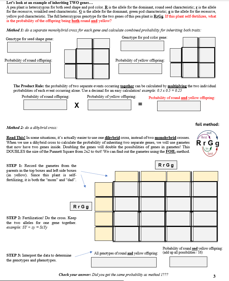 Solved cell chromosomes or or or DIIDID TUTTID or or or | Chegg.com
