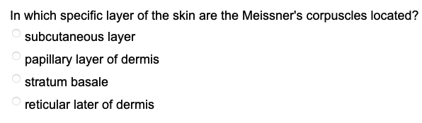 Solved What is the function of Meissner's corpuscle? release | Chegg.com