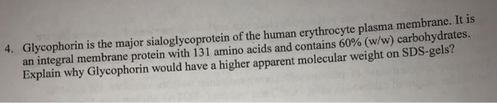 Solved Glycophorin is the major sialoglycoprotein of the | Chegg.com