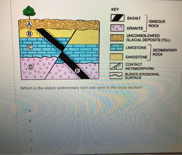Solved arks Window Help a iu.instructure.com Sedimentary | Chegg.com