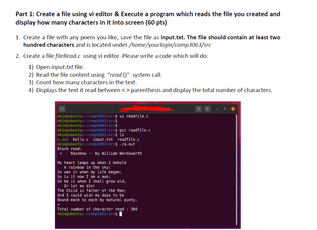 Solved Part 1 Create A File Using Vi Editor Execute A Chegg