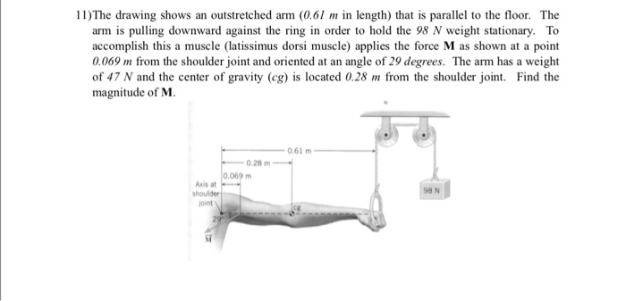 Solved 11)The drawing shows an outstretched arm (0.61 m in | Chegg.com