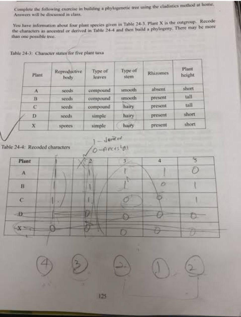 Solved Complete the following exercise in building a | Chegg.com