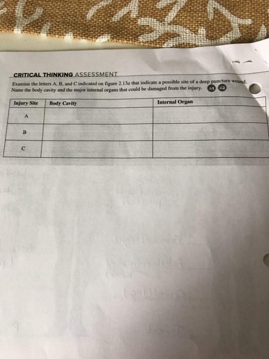 Solved Label the indicated body surface regions: (a) | Chegg.com