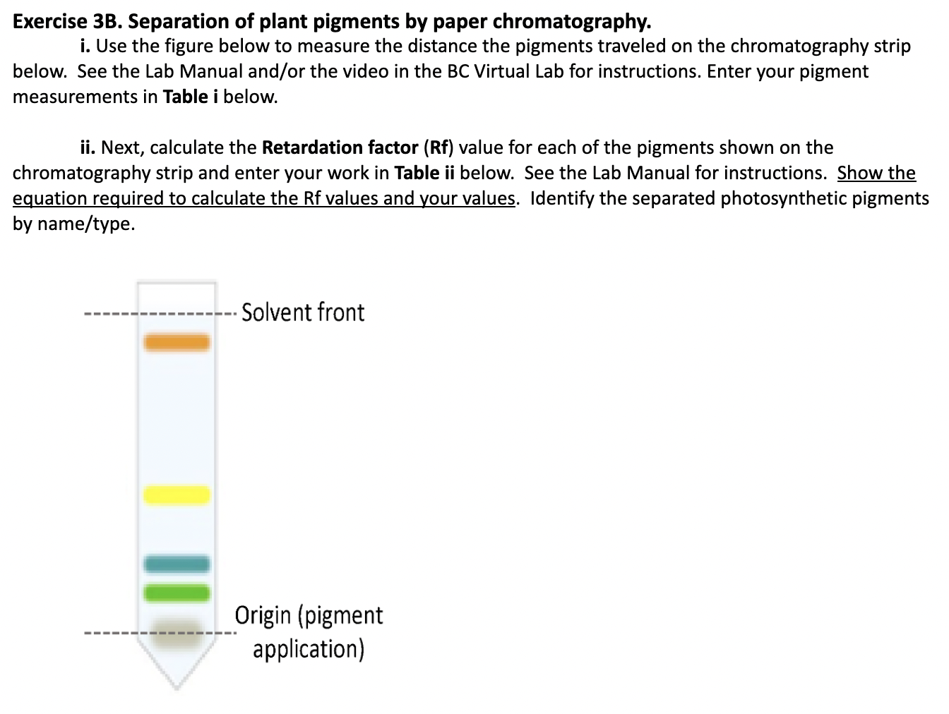 Solved Exercise 3B. Separation of plant pigments by paper | Chegg.com