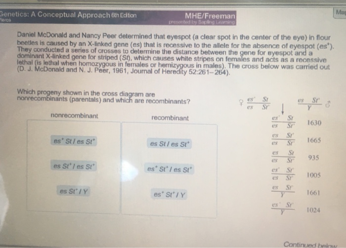 Solved Mat MHE/Freeman enetics: A Conceptual Approach 6th | Chegg.com