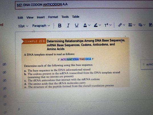 Solved determining relationships among DNA base sequence, | Chegg.com