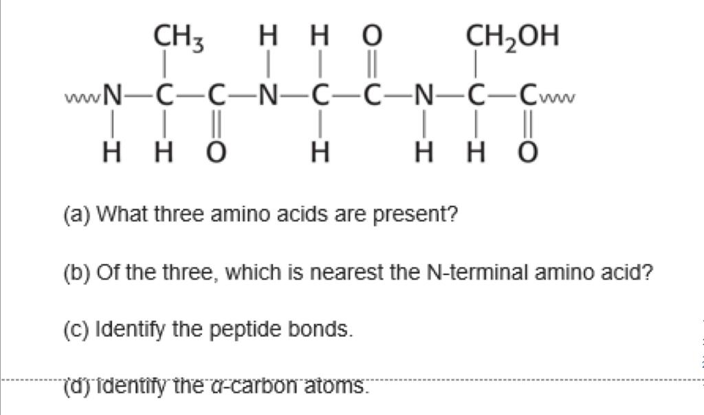 Solved (a) What three amino acids are present? (b) Of the | Chegg.com