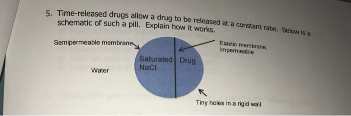Solved Time-released drugs allow a drug to be released at a | Chegg.com