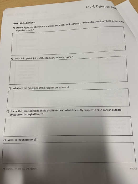 Solved Lab 4, Digestive Syst POST LAB QUESTIONS the A) | Chegg.com