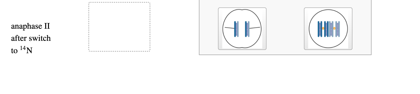 Solved A line of mouse cells is grown for many generations | Chegg.com