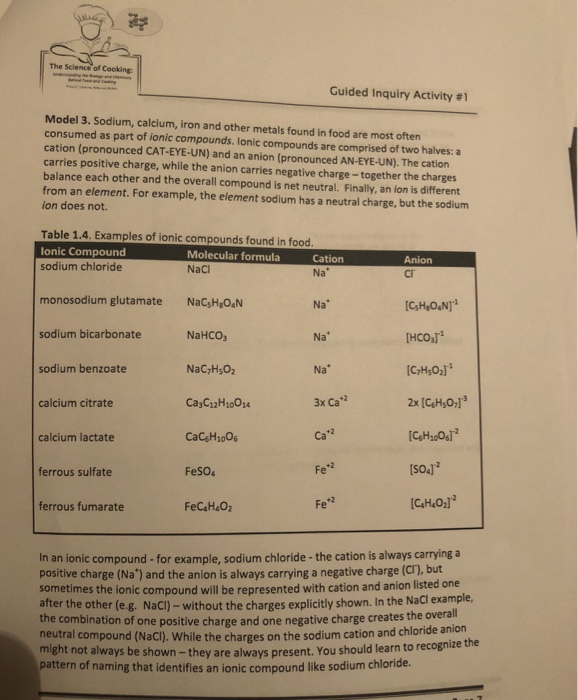 Solved The Science of Cooking Guided Inquiry Activity #1 | Chegg.com