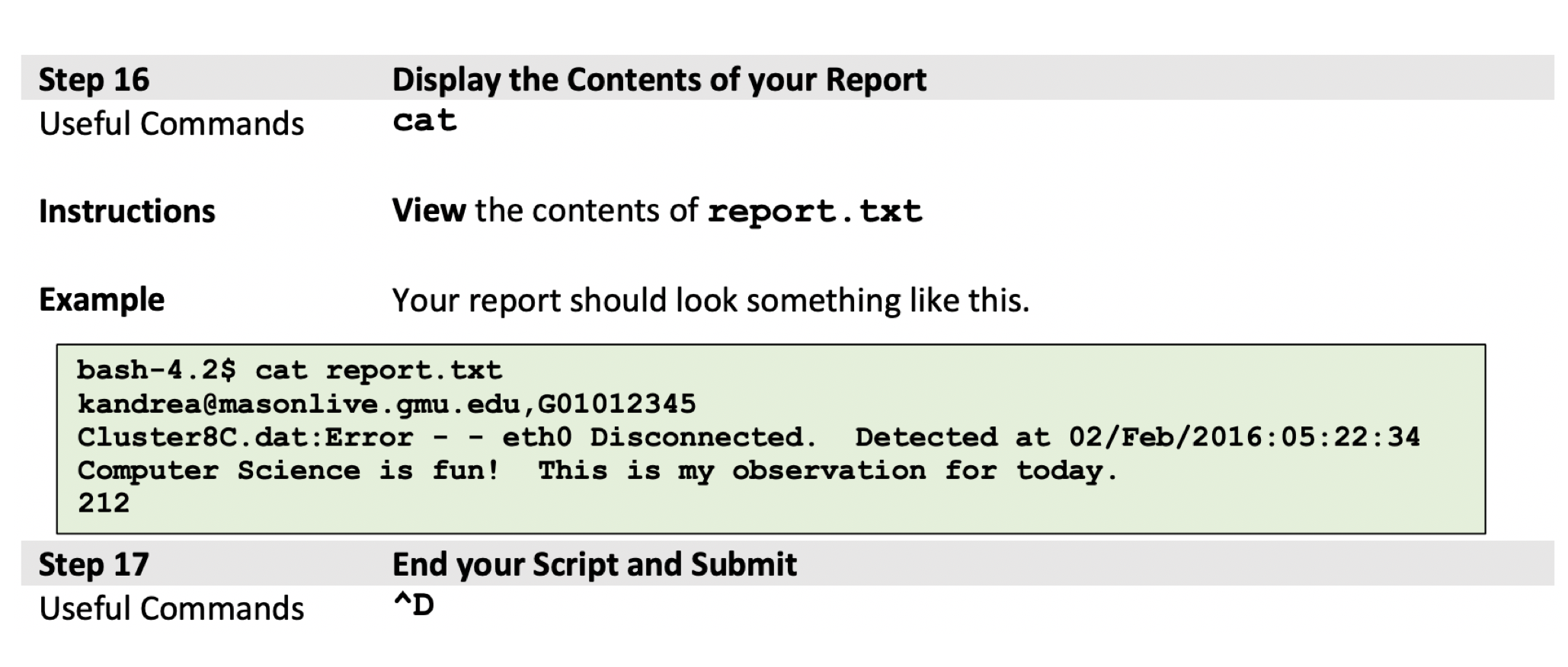 Step 6 Useful Commands Add Your Information to the | Chegg.com