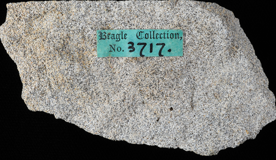 [Solved]: What type of sandstone would this sample be consid