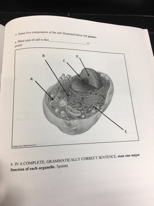 Biology Archive | March 30, 2017 | Chegg.com