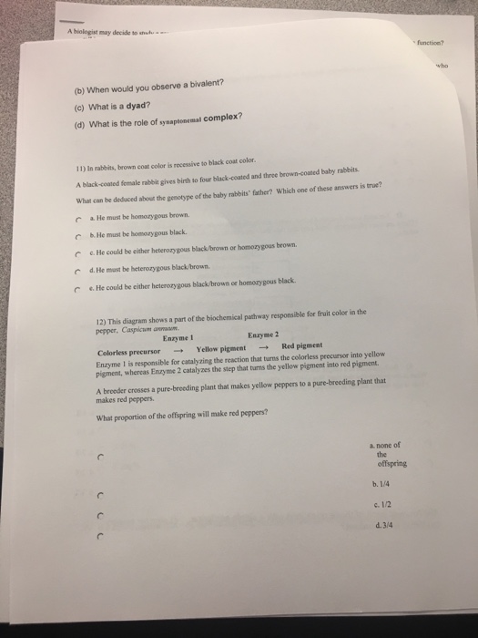 Solved 1) Dumpy is a commonly used mutant phenotype in the | Chegg.com