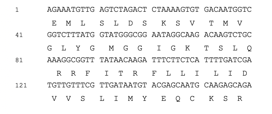 Solved What is the function of the p-loop motif in the | Chegg.com