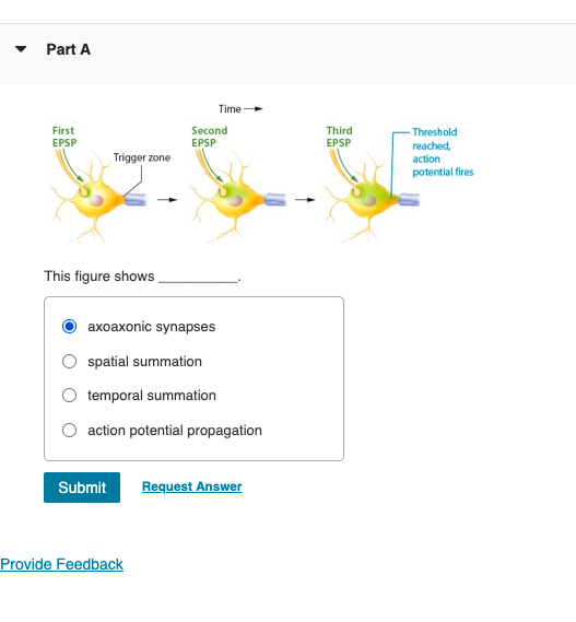 Solved Part A Time First EPSP Second EPSP Third EPSP Trigger | Chegg.com