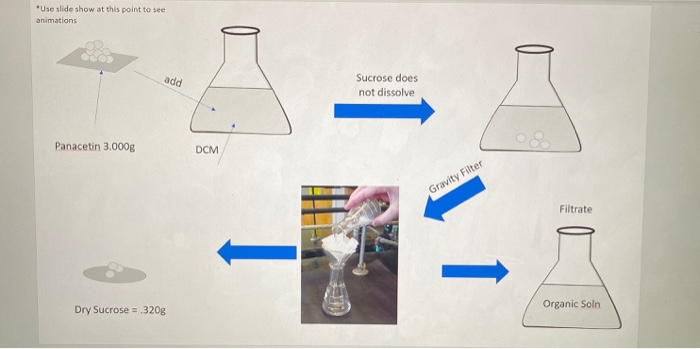*Use slide show at this point to see animations add | Chegg.com