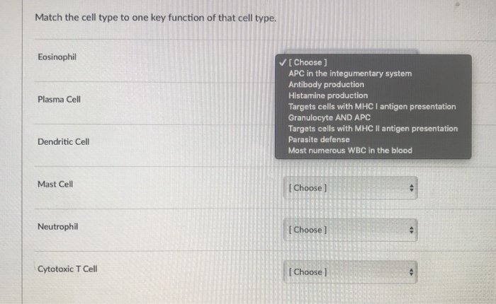 Solved Match the cell type to the function performed. | Chegg.com