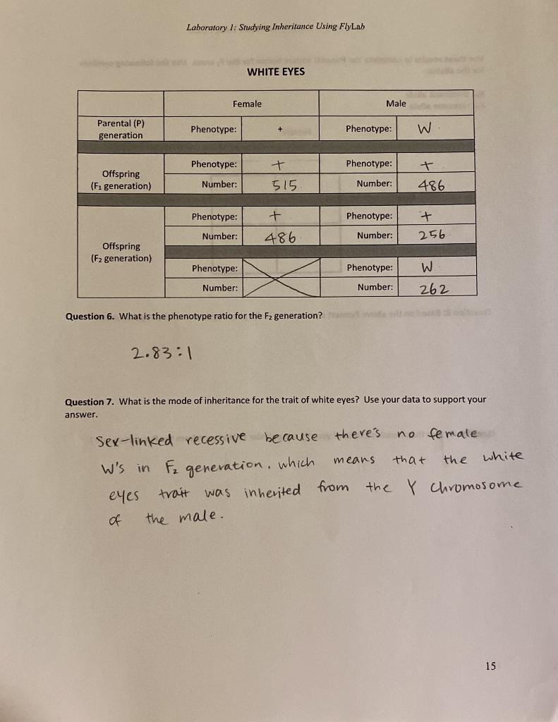 Solved Laboratory 1. Studying Inheritance Using FlyLab WHITE | Chegg.com