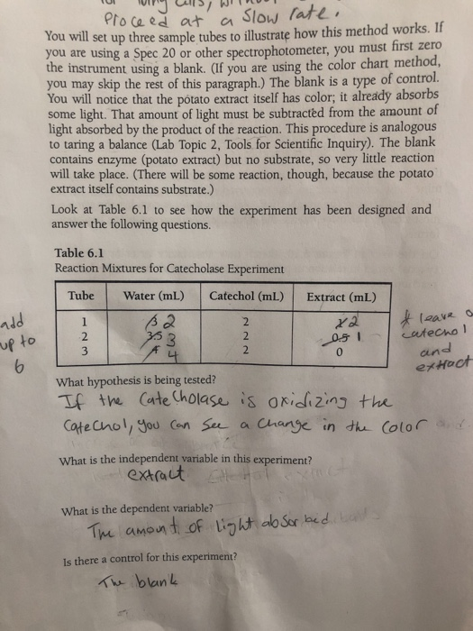 Solved Predict the outcome of your experiment in terms of | Chegg.com