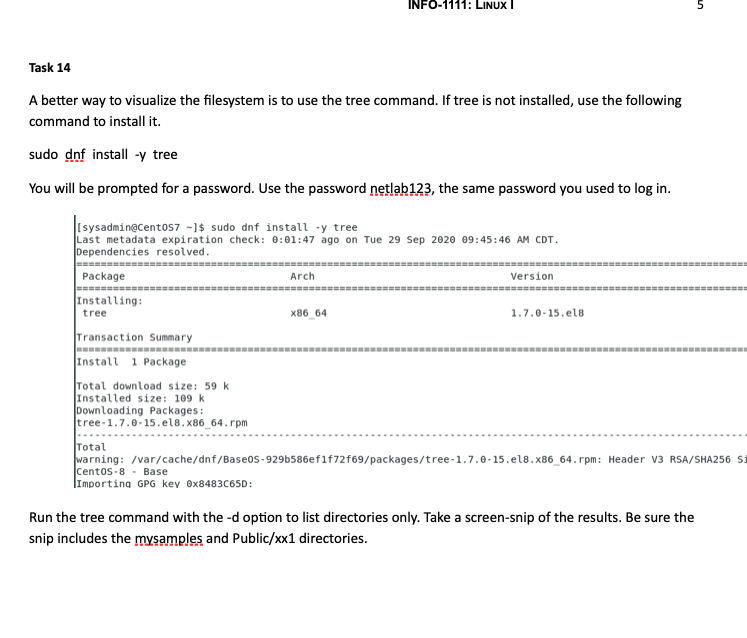 Solved Task 2 Use manpage to view the options to the Is | Chegg.com