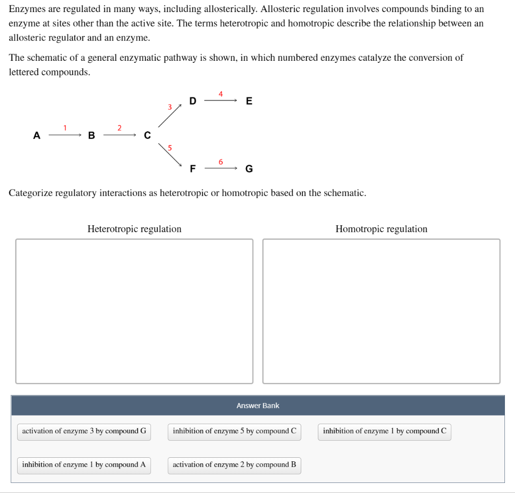 Solved Enzymes are regulated in many ways, including | Chegg.com
