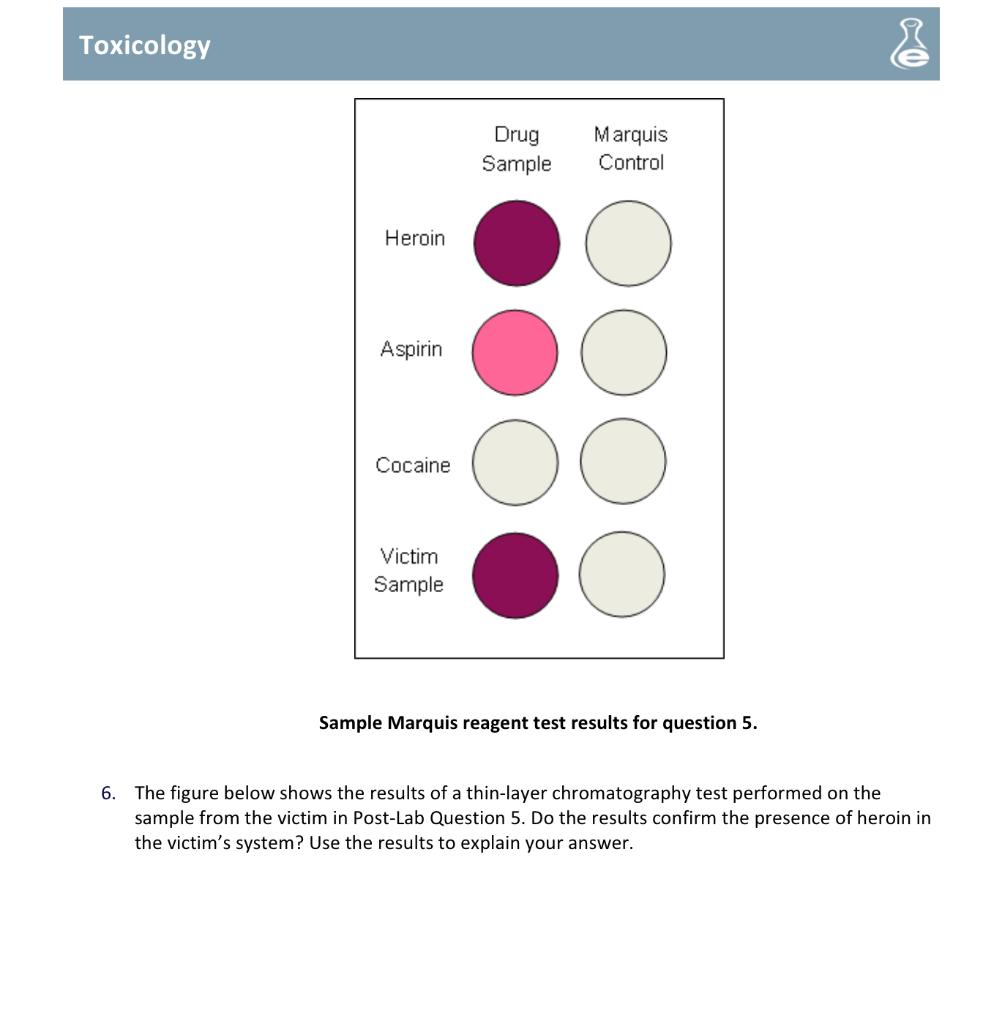 Solved Toxicology EXPERIMENT 1: IDENTIFYING UNKNOWN | Chegg.com